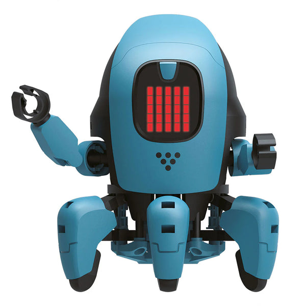 KAI: The Artifical Intelligence Robot | The Wooden Horse
